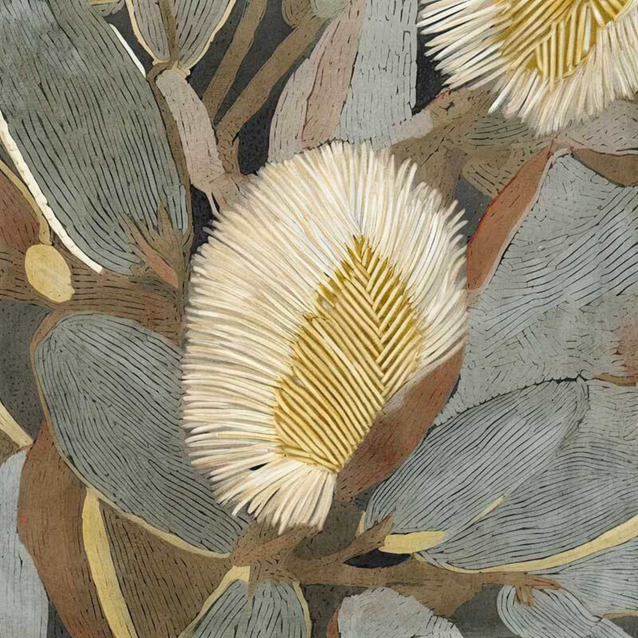 Australian Bottlebrush Framed Art Print – Jarvis + Jarvis Home