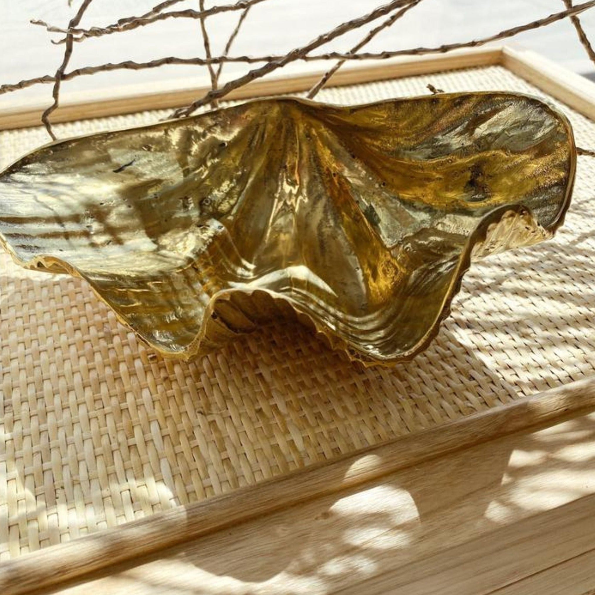 Brass Clam Shell – Jarvis + Jarvis Home