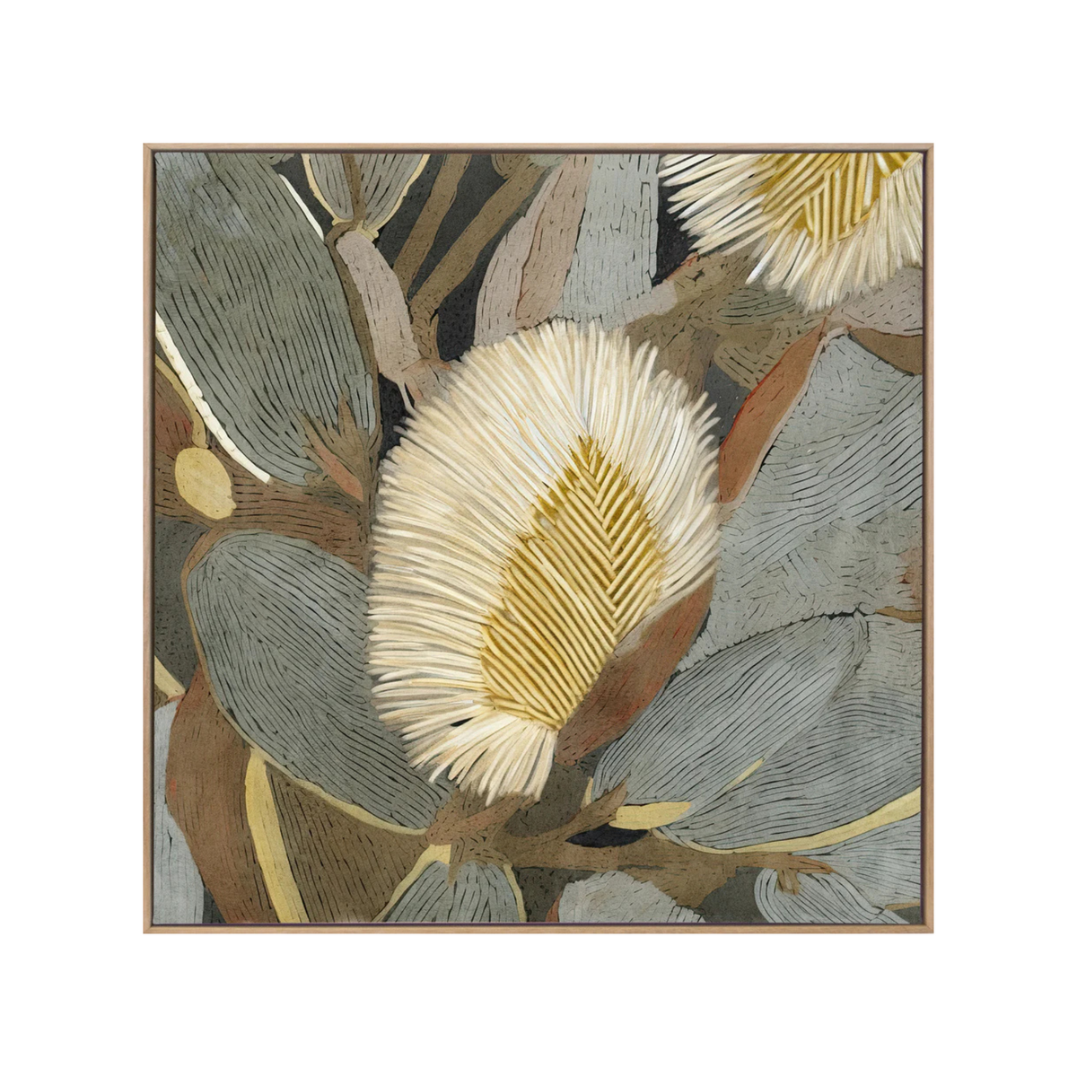 Australian Bottlebrush Framed Art Print – Jarvis + Jarvis Home