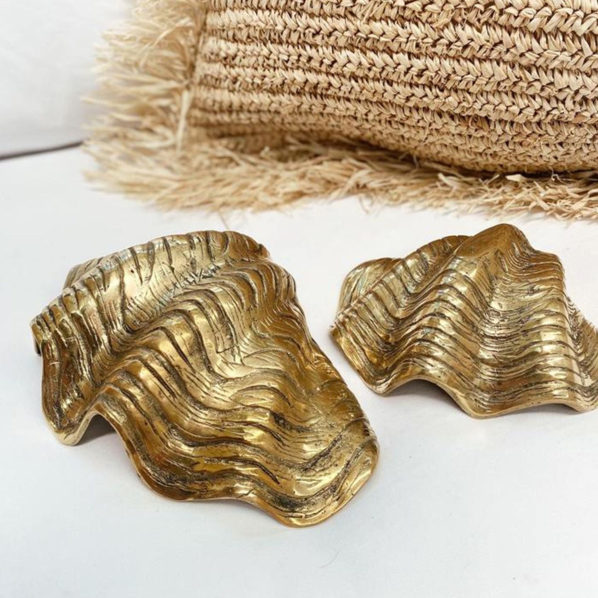 Brass Clam Shell – Jarvis + Jarvis Home