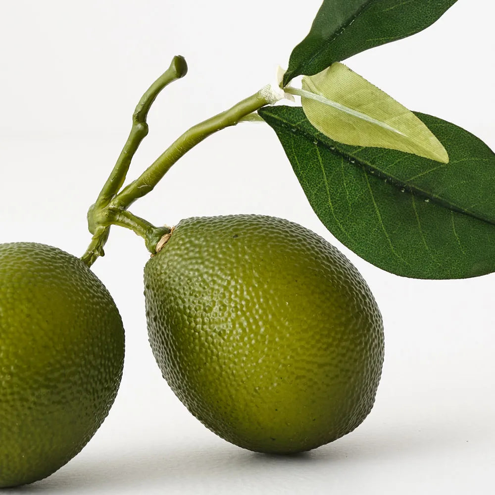 Lime Cluster – Jarvis + Jarvis Home